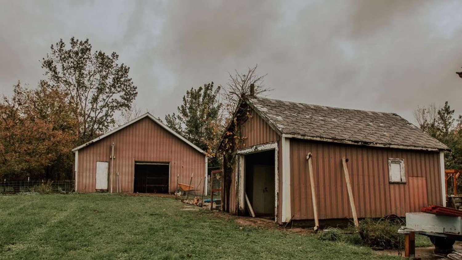 Home - Love Led Farm